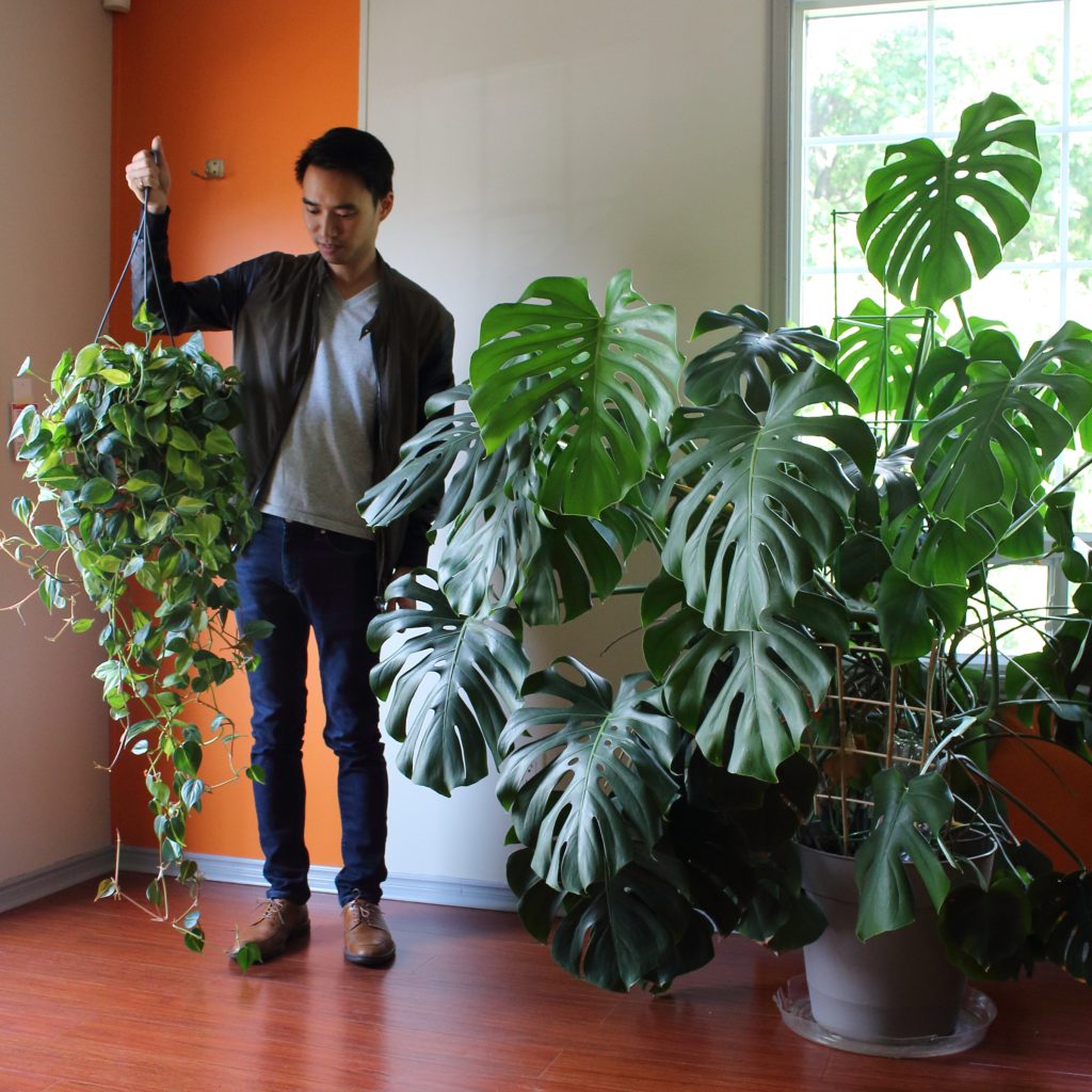 Episode 08: Dirty Talk and the Creation of Houseplant Journal with ...