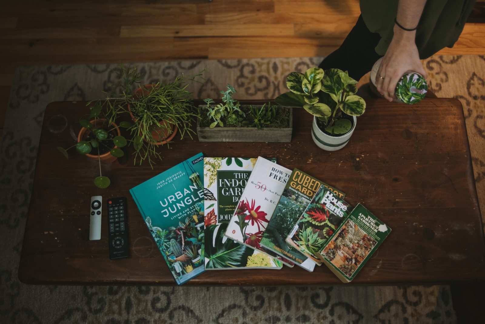 My Favorite Plant Books So Far - Growing Joy with Maria