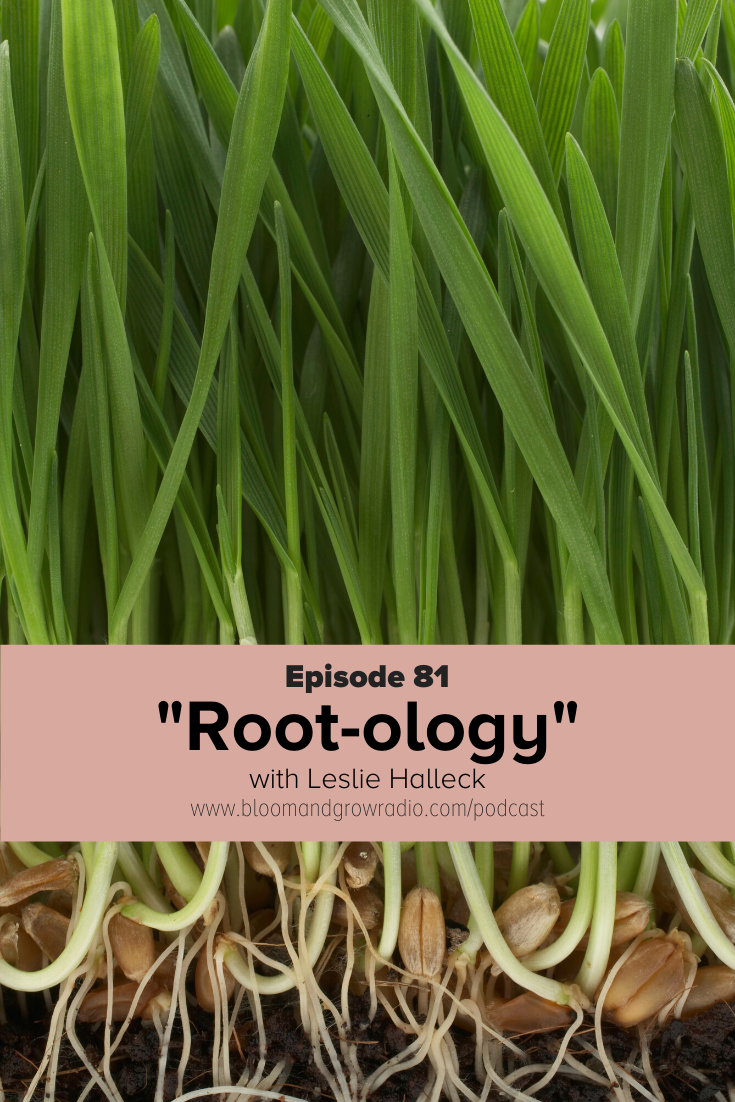 Episode 81: "Root-ology" with Leslie Halleck - Growing Joy with Maria