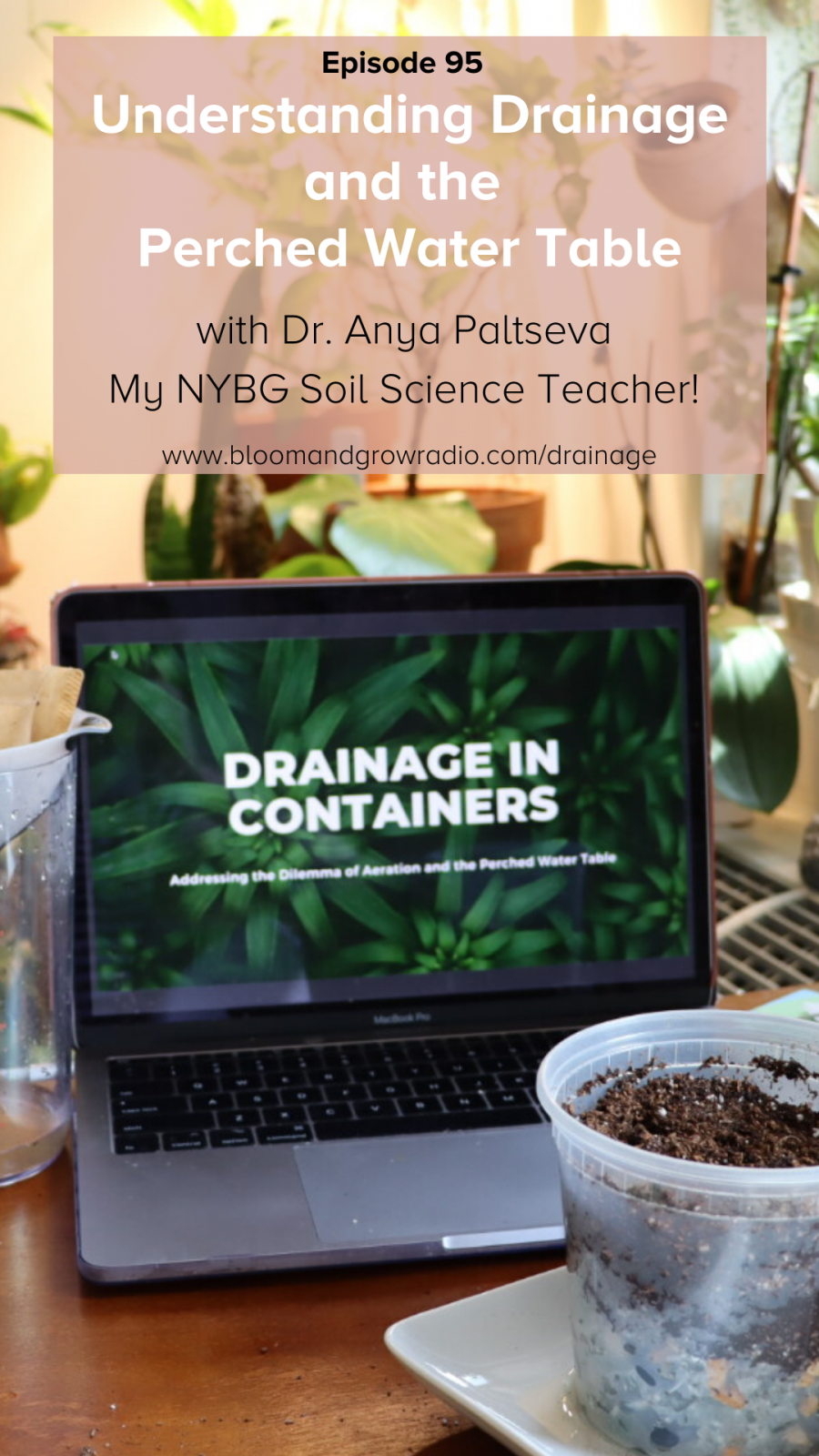 Episode 95: Understanding Drainage and the Perched Water Table ...