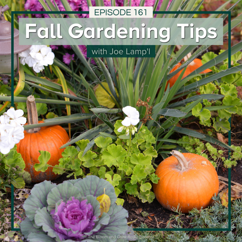 Fall Gardening Tips with Joe Gardener, Ep 161 - Growing Joy with Maria