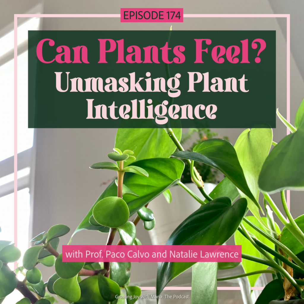 Growing Joy with Maria Podcast - Empowering Plant Parents Worldwide
