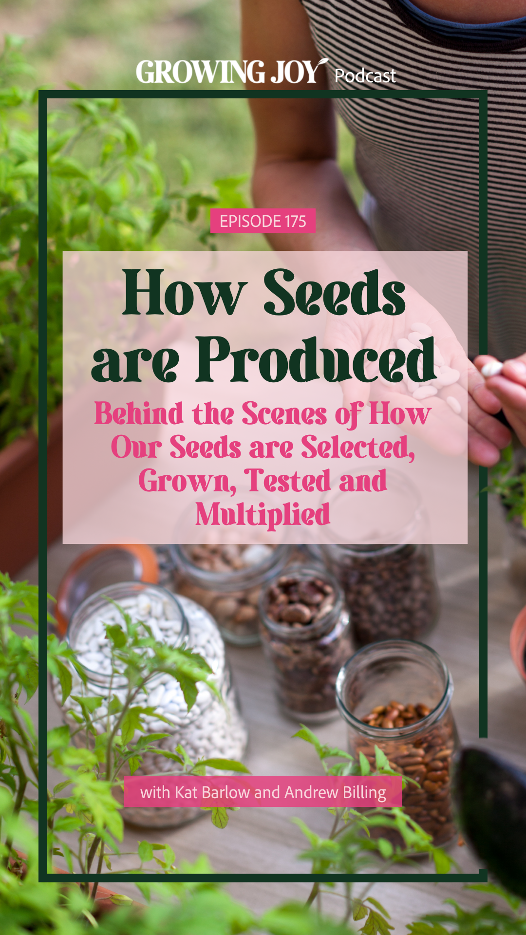 How Seeds are Produced: Behind the Scenes of How Our Seeds are Selected ...
