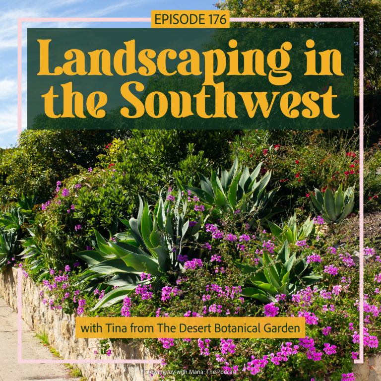 Landscaping in the Southwest with Tina from The Desert Botanical Garden ...