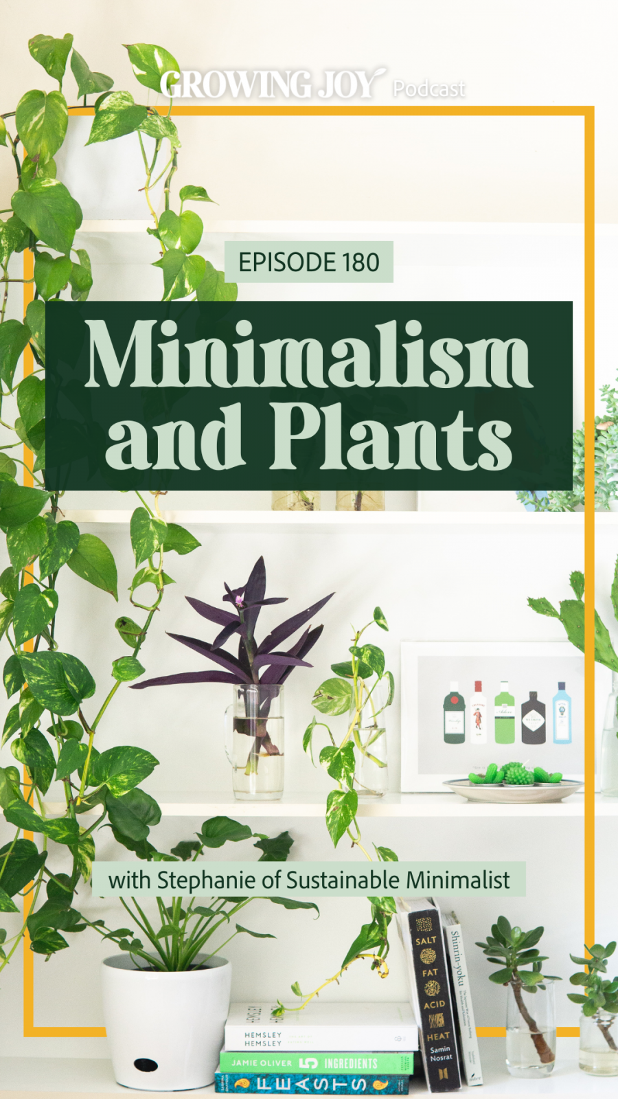 Minimalism and Plants with Stephanie of Sustainable Minimalist, Ep 180 ...