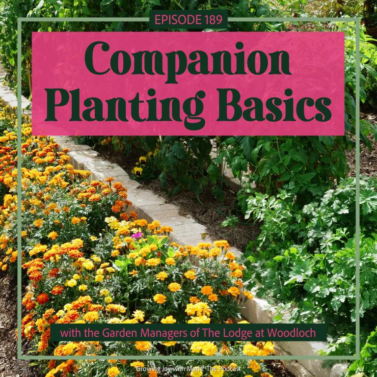 Companion Planting Basics with the Garden Managers of The Lodge at ...