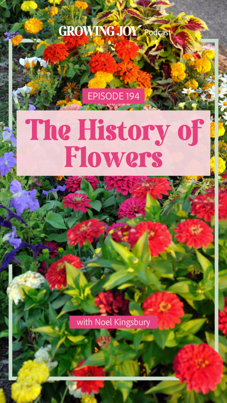 The History of Flowers with Noel Kingsbury, Ep 194 - Growing Joy with Maria
