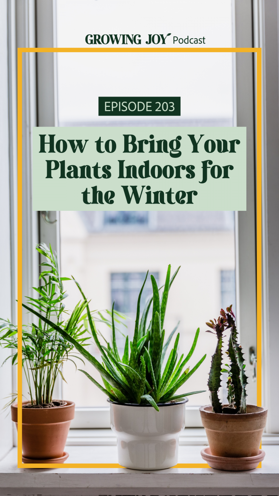 How to Bring Your Plants Indoors for the Winter, Ep 203 - Growing Joy ...