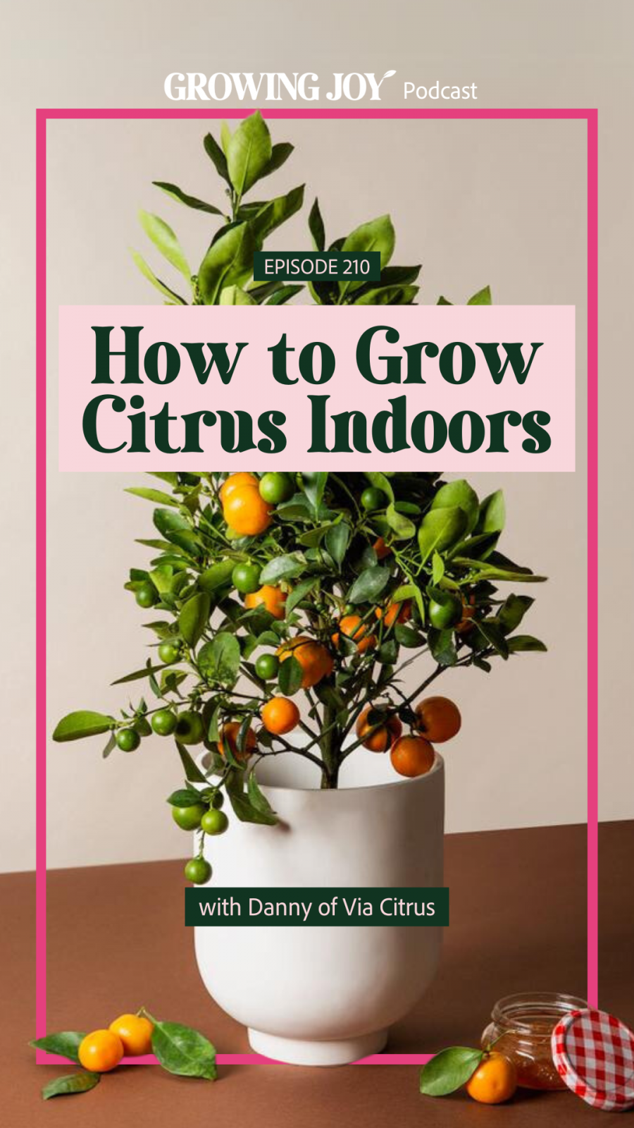How to Grow Citrus Indoors with Danny of Via Citrus, Ep 210 - Growing ...