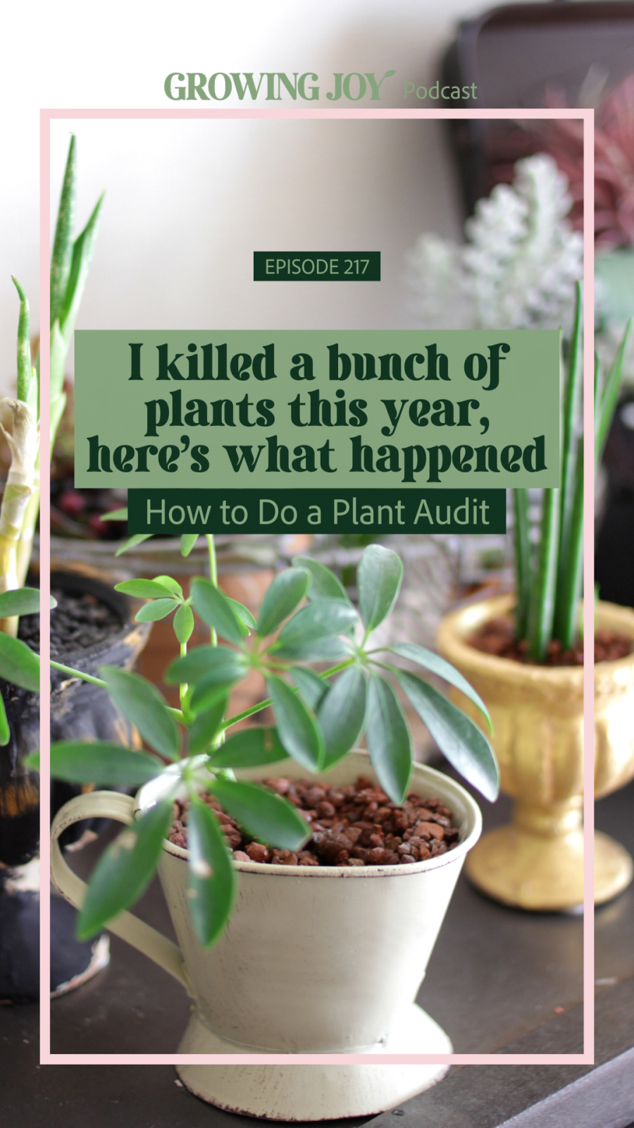 I killed a bunch of plants this year, here's what happened: How to Do a Plant Audit, Ep 217 ...