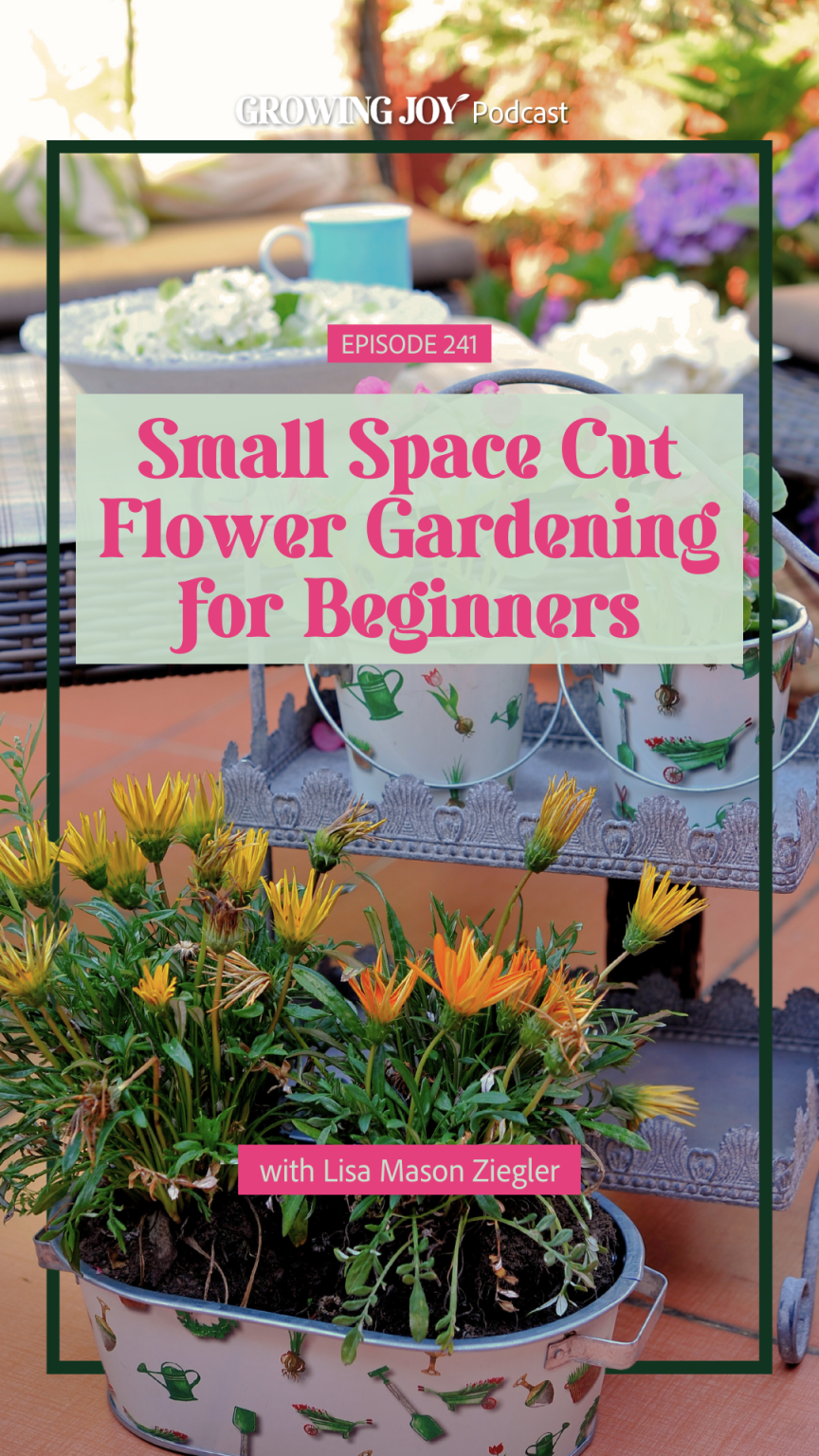 Small Space Cut Flower Gardening for Beginners with Lisa Mason Ziegler, Ep 241 - Growing Joy ...