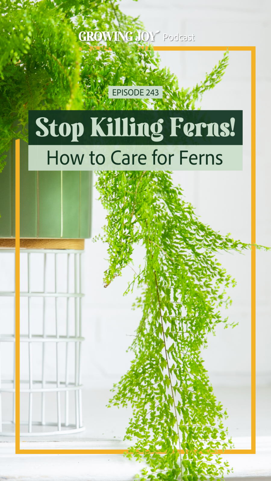 Stop Killing Ferns! How to Care for Ferns, Ep 243 - Growing Joy with Maria