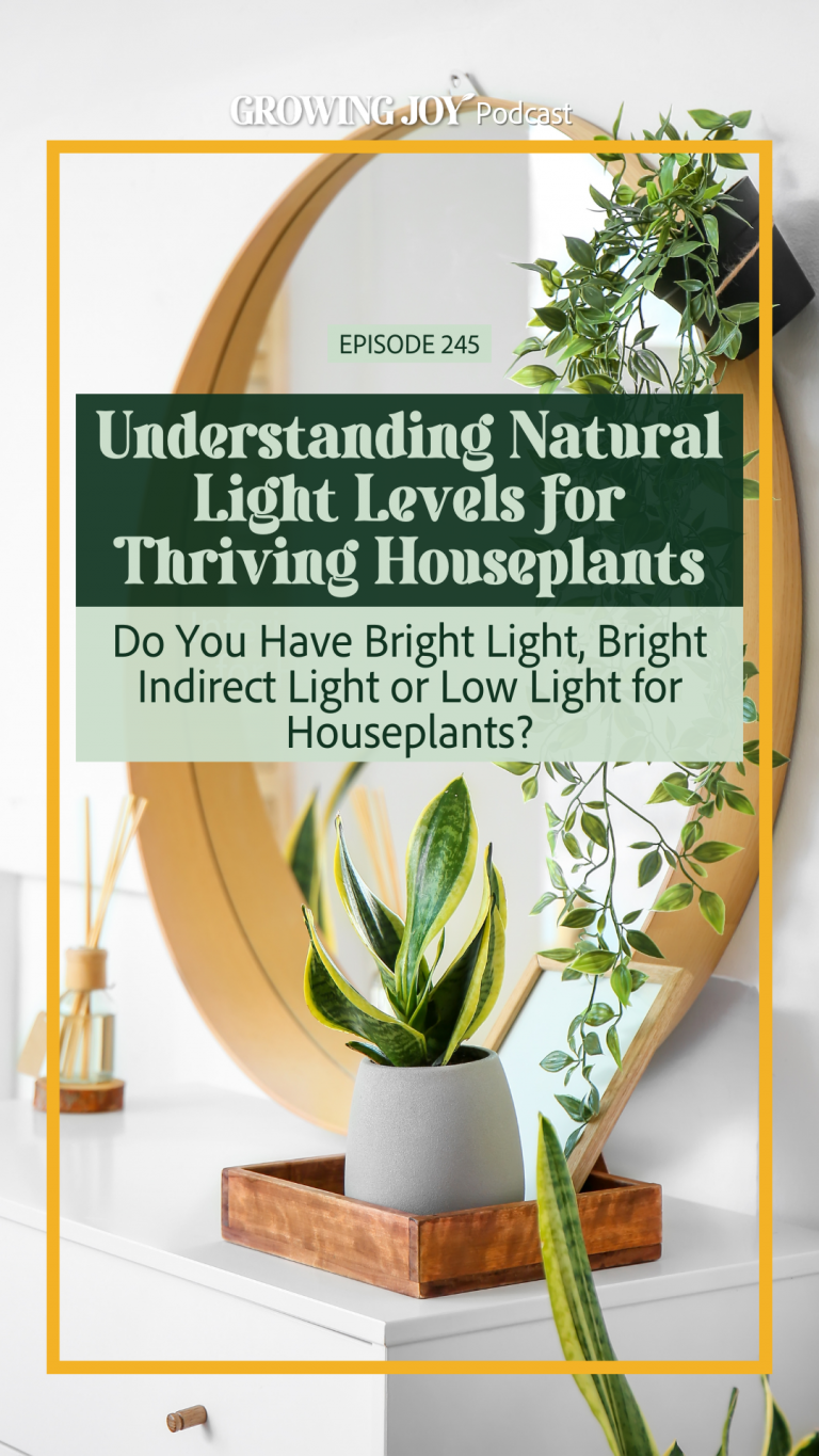 Understanding Natural Light Levels for Thriving Houseplants // Do You ...