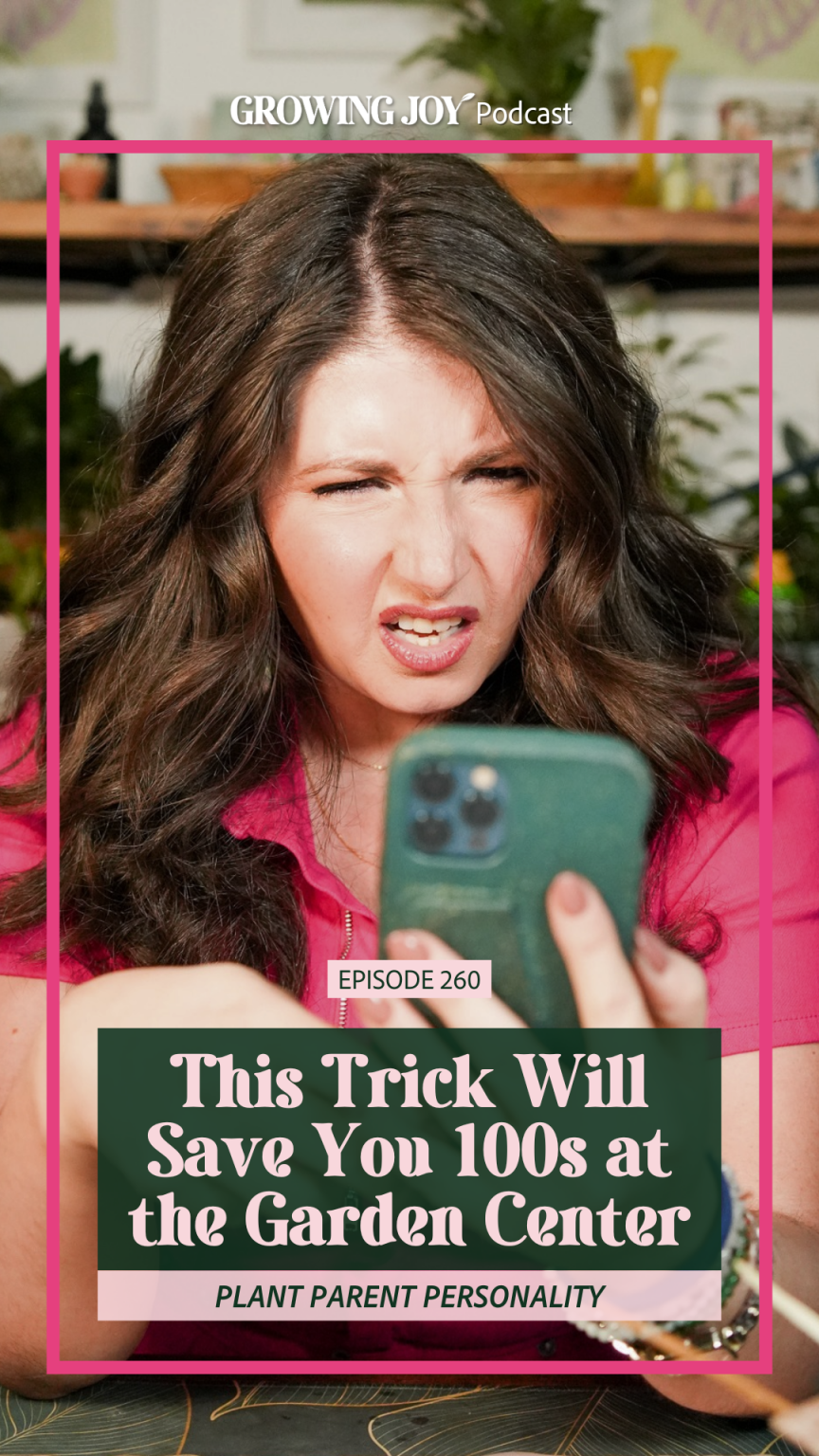 This Trick Will Save You 100s at the Garden Center // Plant Parent ...
