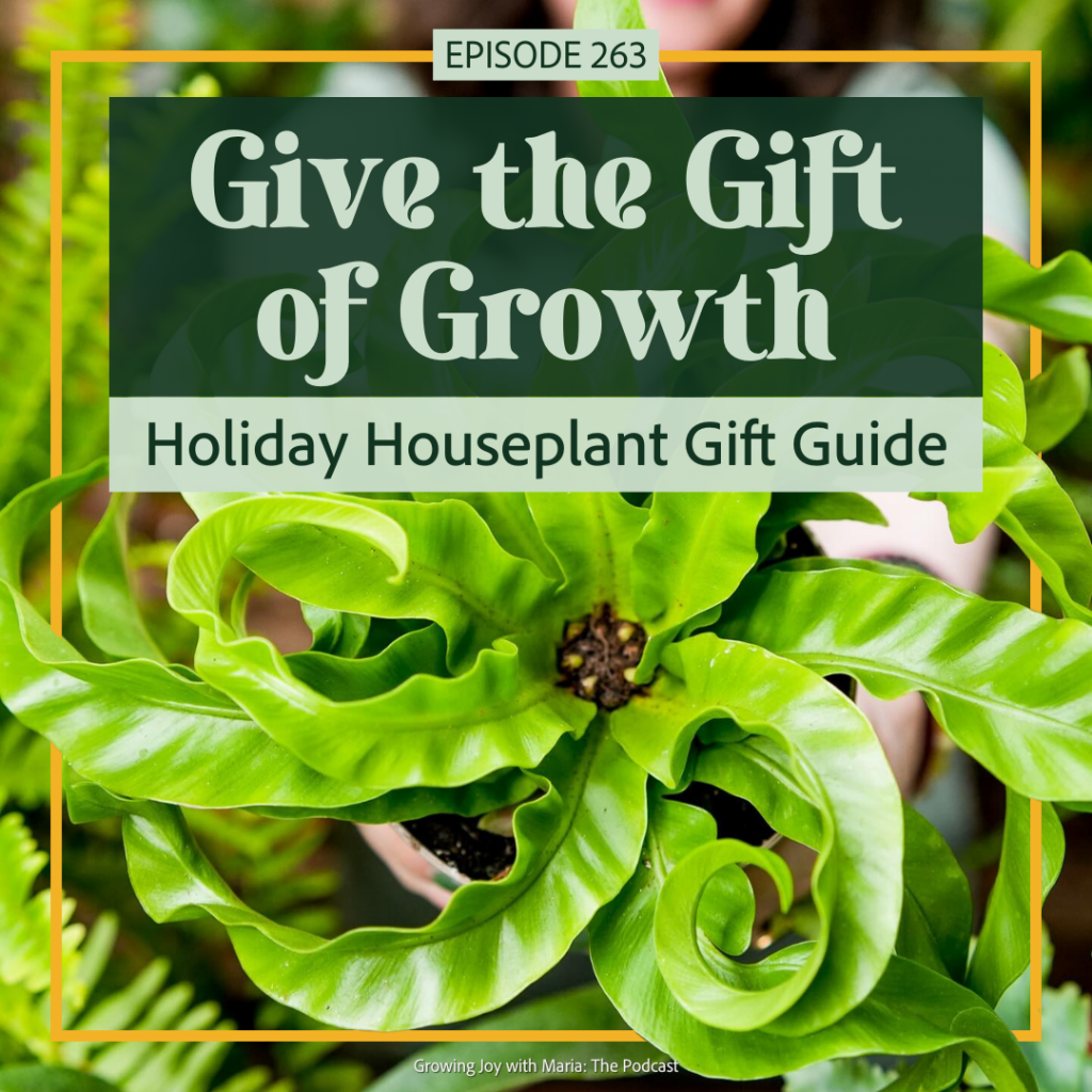 Growing Joy with Maria Podcast - Empowering Plant Parents Worldwide