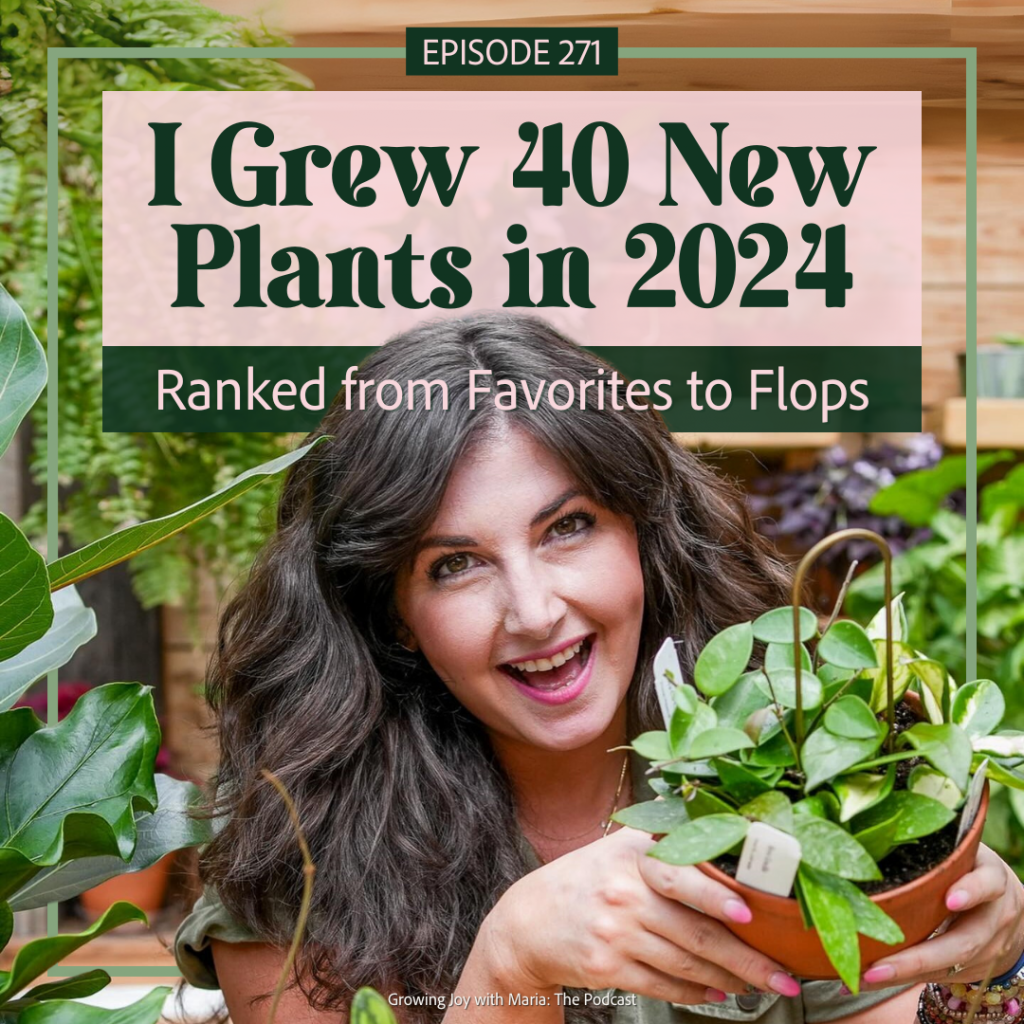 Growing Joy with Maria Podcast - Empowering Plant Parents Worldwide