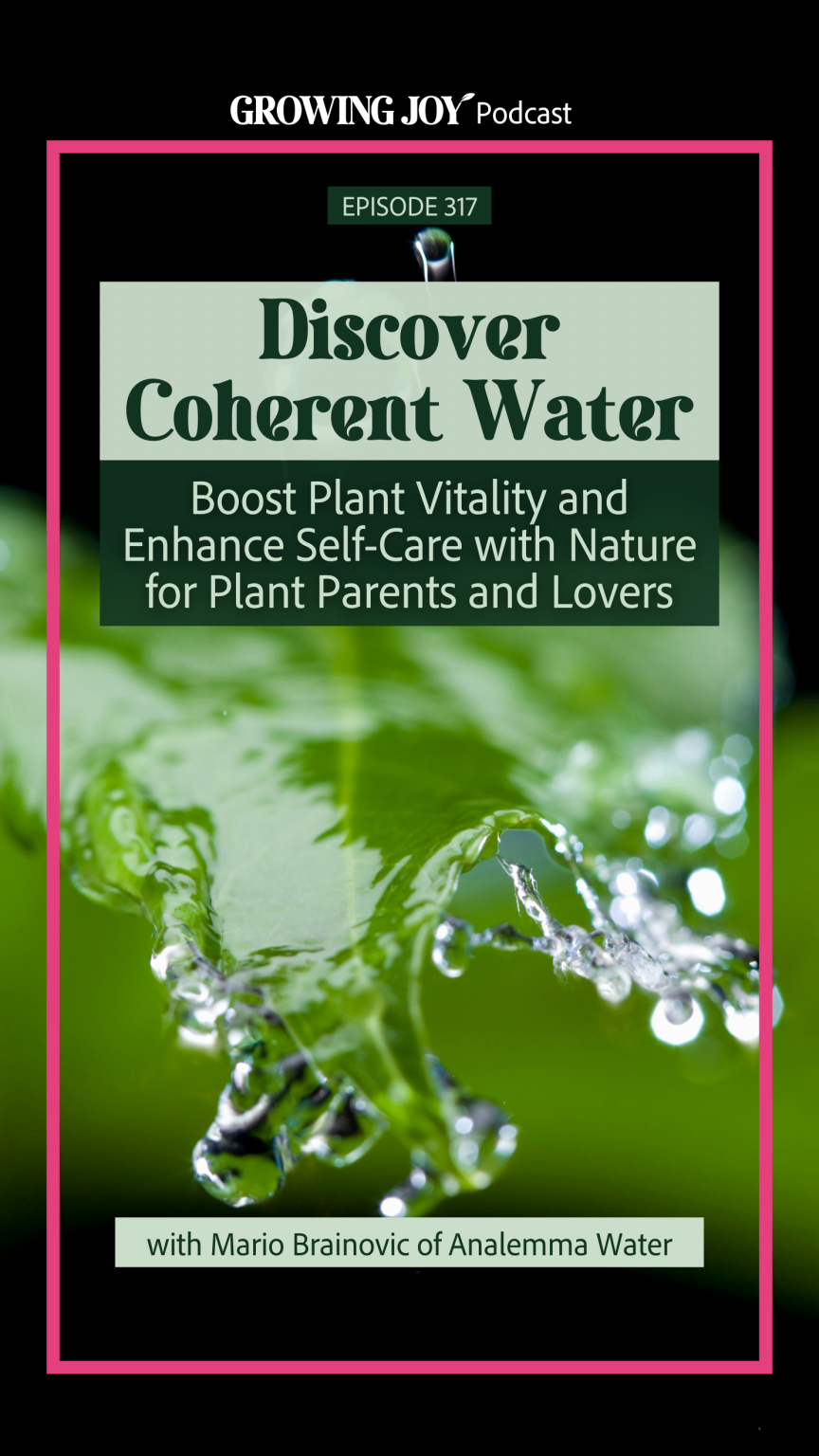 Discover Coherent Water: Boost Plant Vitality and Enhance Self-Care ...